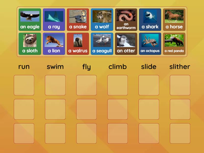 animal movements - Group sort