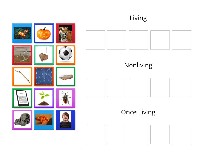 Living, Nonliving, Once Living - Ordenar por grupo