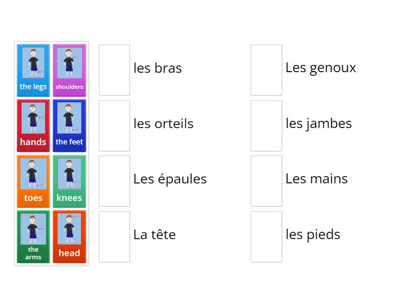 body parts in French - Match up