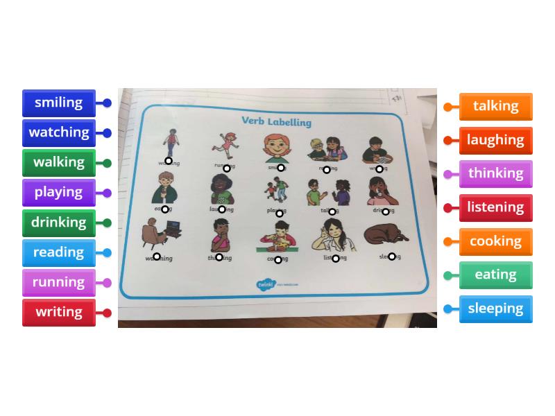 Year 4 EAL verbs - Labelled diagram