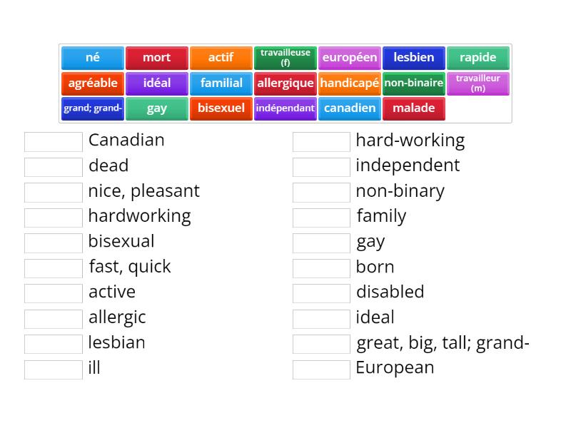 Edexcel-GCSE French-Family Adjectives part 1 - Match up