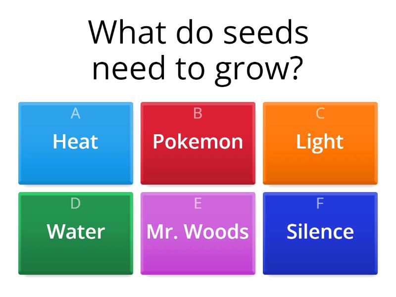 Seed growth - Quiz