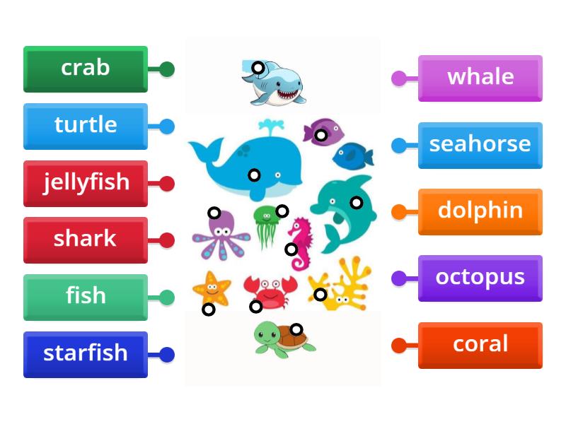 Sea animals for kids - Labelled diagram