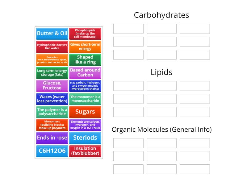 Carbohydrates versus Lipids - Group sort