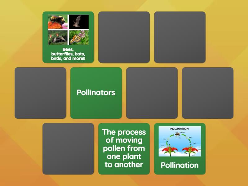 Pollination - Matching pairs