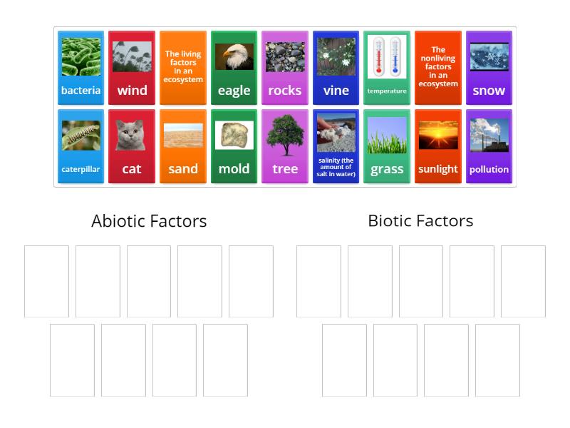 Abiotic vs Biotic Factors - Group sort