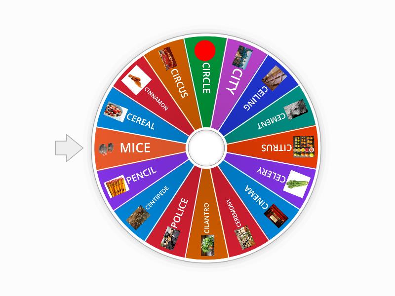 LETTER C SOUND LIKE /S/ - Spin the wheel