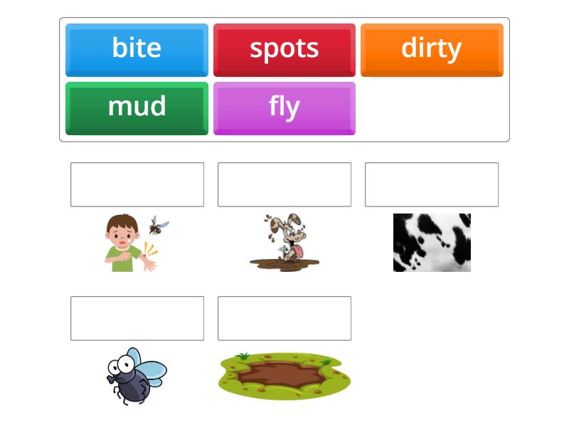 Power Up 1 Unit 3 Story key words - Match up