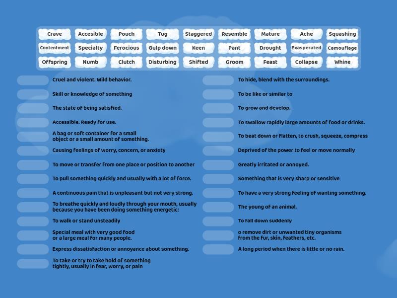 Final Exam Vocabulary - Une las parejas