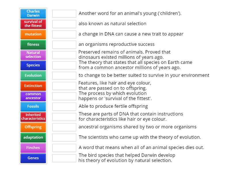 7A Evolution - Match up