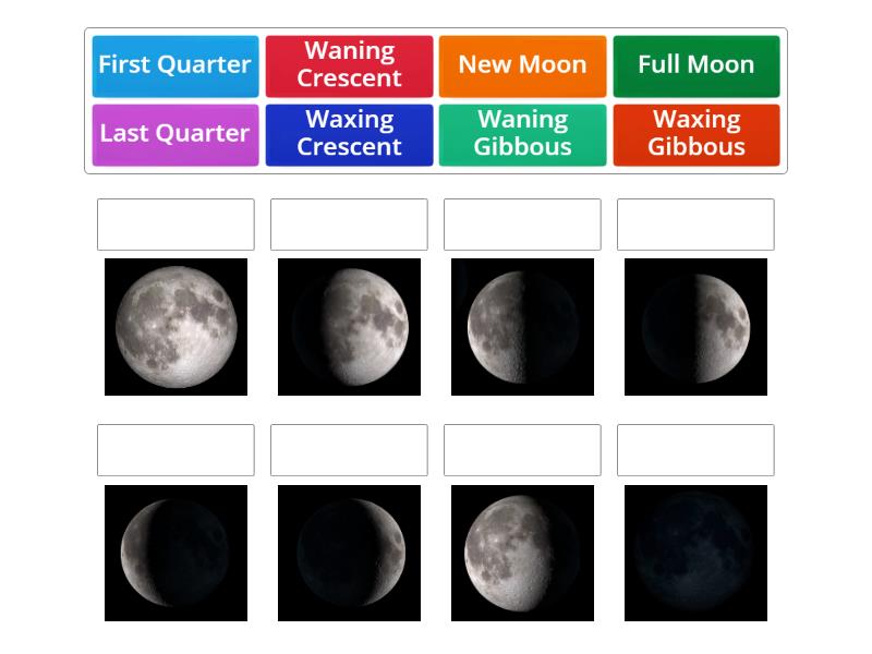 The phases of the moon - Match up