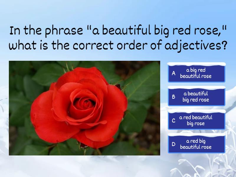 [7C] Adjective Order - Quiz