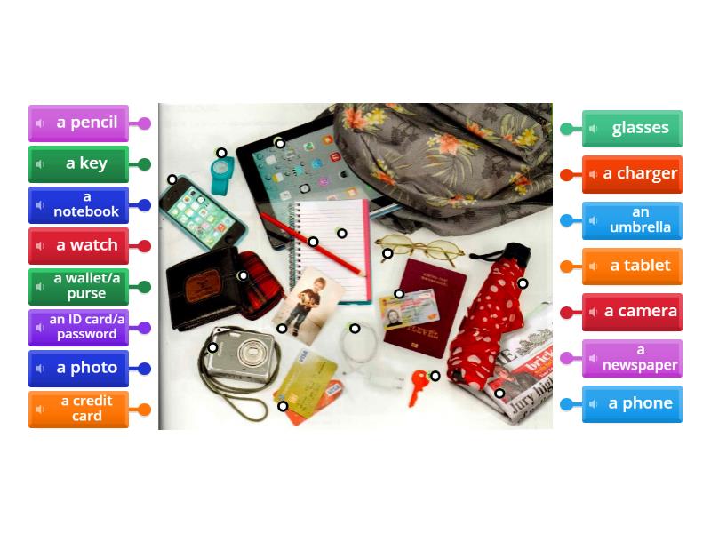 NewFile bags - Labelled diagram