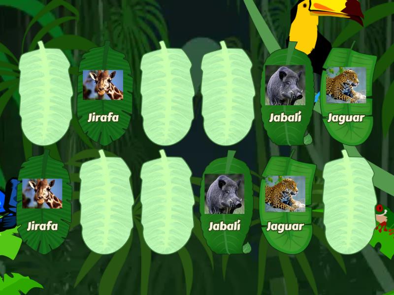 Animales con la letra J - Matching pairs