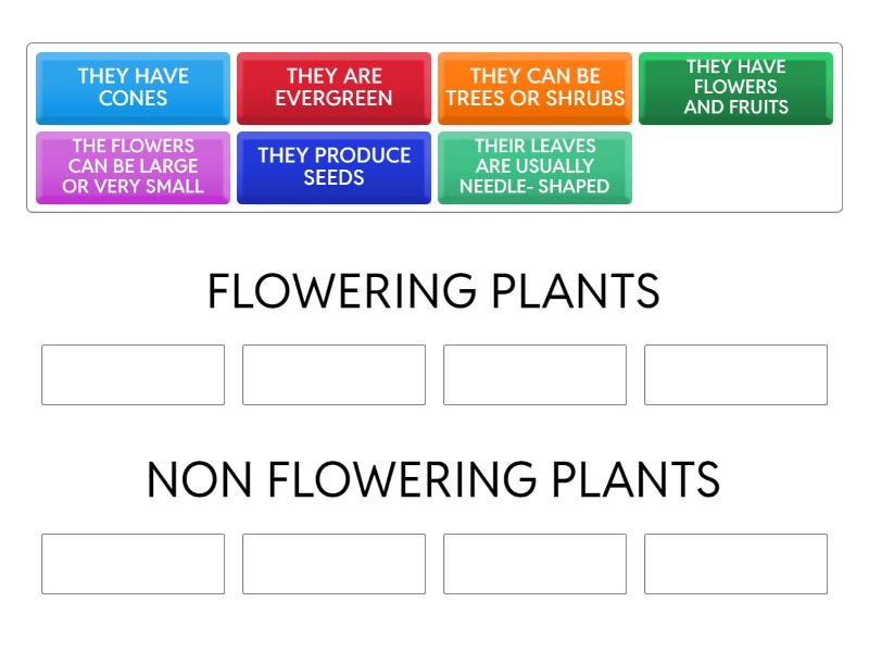 FLOWERING AND NON FLOWERING PLANTS - Ordenar por grupo