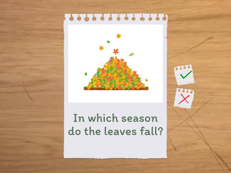 Seasons Flashcard Guessing Game - Flash cards