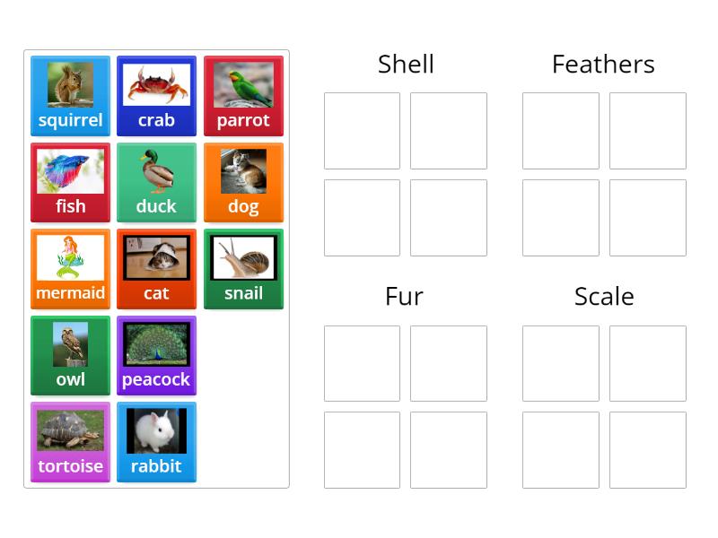 English Quest 1 Unit 5 Shell, feathers, fur, scale - Group sort