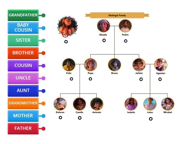 Another family tree - Labelled diagram