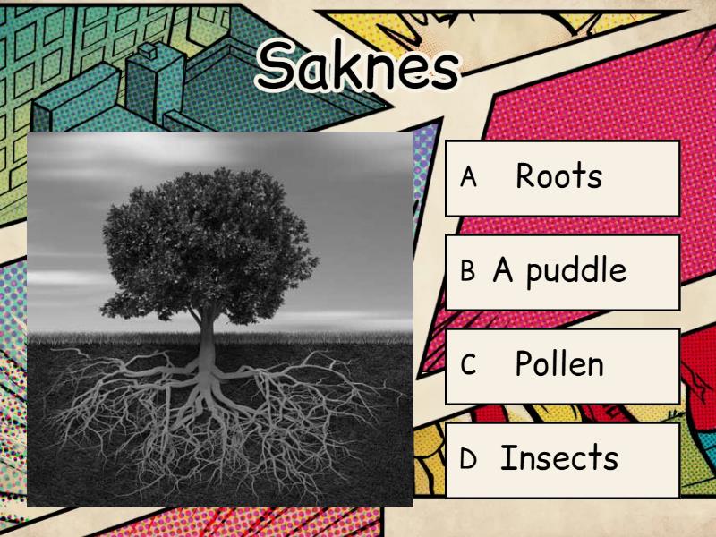 Spring Vocabulary Quiz