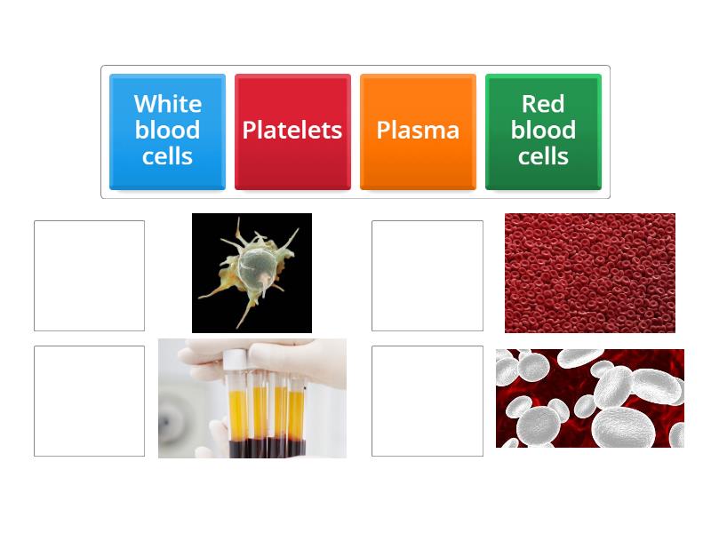Blood Matching - Match up