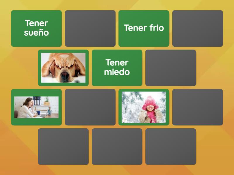 El verbo tener - Matching pairs