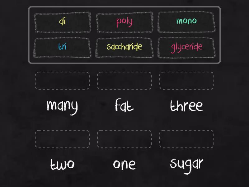 Macromolecule Word Parts - Match up