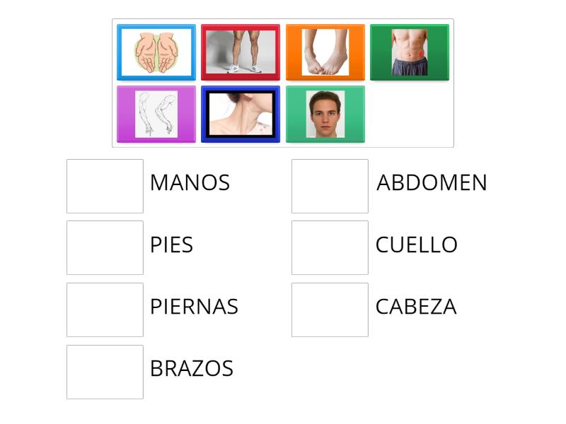 Qué Necesita Mi Cuerpo Para Sostenerse Une Las Parejas