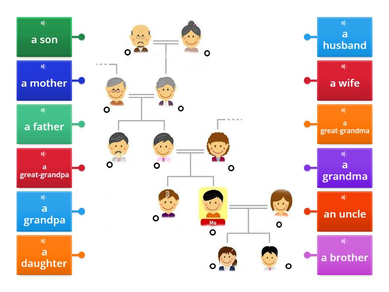 Family tree - Labelled diagram