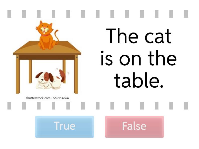 Prepositions of place - True or false