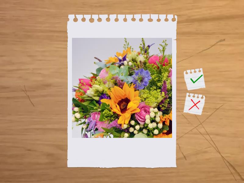 Who is Faster? - Flash cards