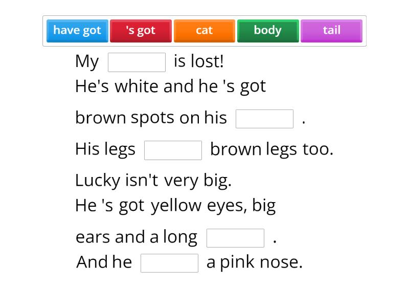 Unit 4: Pets - Complete the sentence