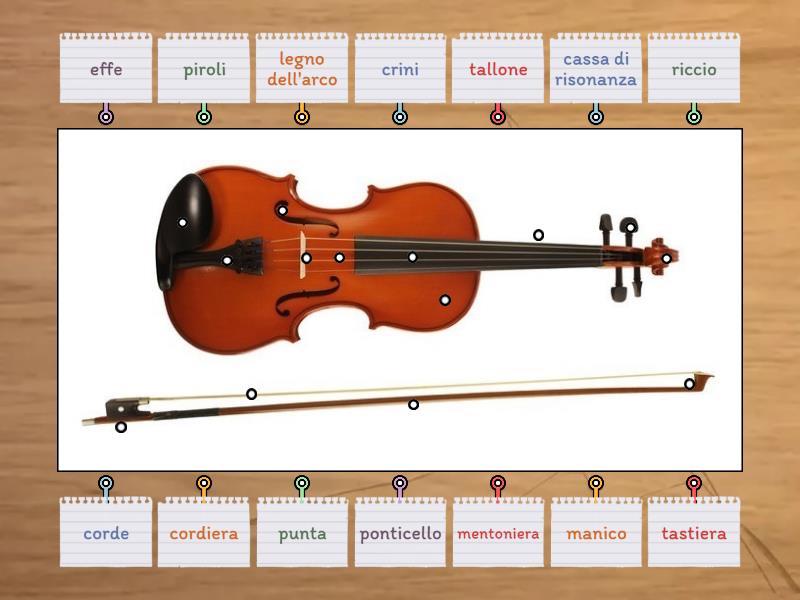 Le parti del violino - Labelled diagram