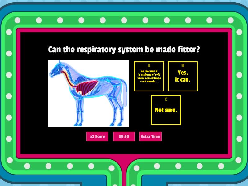 The Equine Respiratory System - Concurso de preguntas