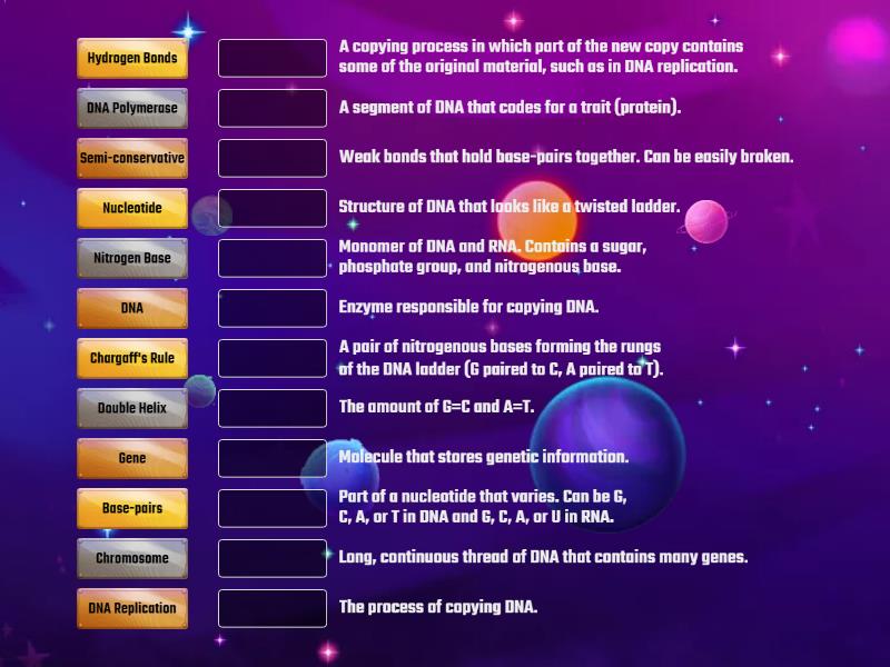 DFHS Biology DNA Structure and Replication Vocab - Match up