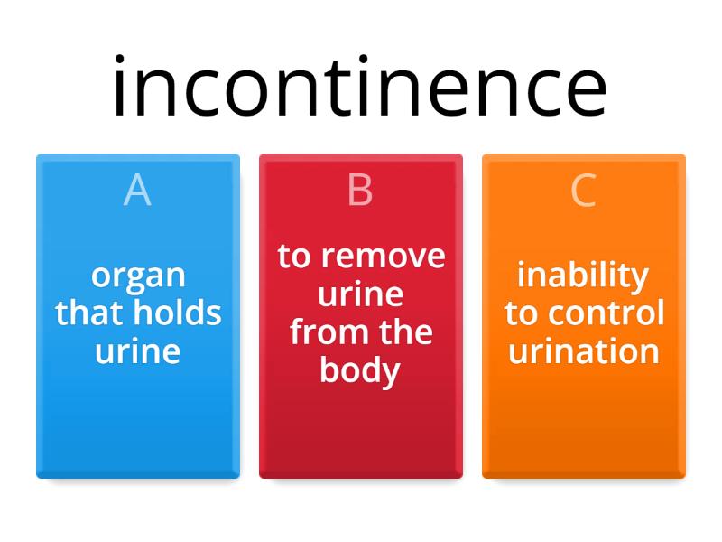 Bowel and Bladder Vocabulary - Quiz