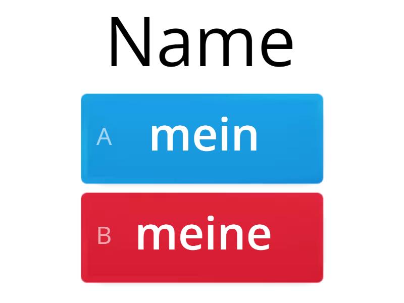 Meine/mein - Quiz