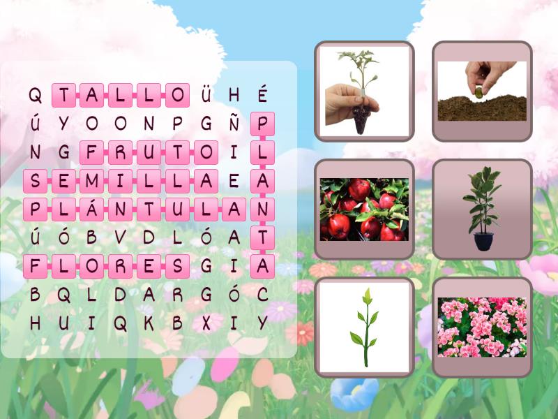 sopa de letras sobre el ciclo de las plantas - Wordsearch
