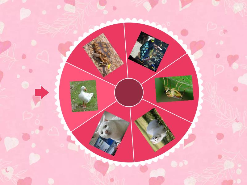 Flip titles - Spin the wheel