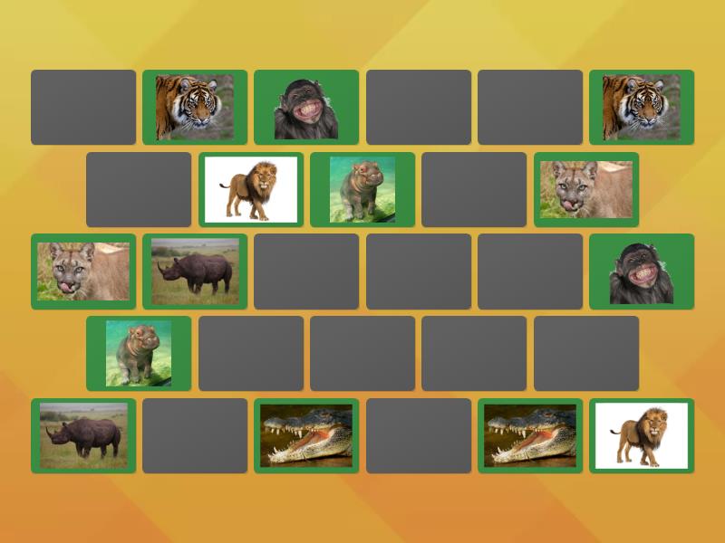 UNIT 3 - WILD ANIMALS - Matching pairs