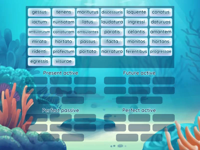 GCSE Latin: Sorting Participles - Group sort