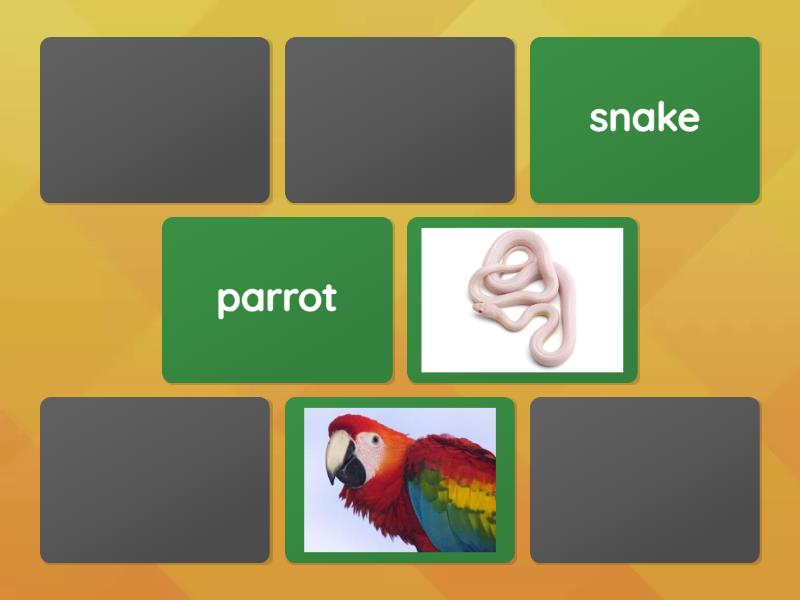 memory - Matching pairs