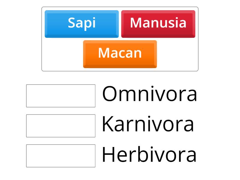 jenis-jenis - Match up