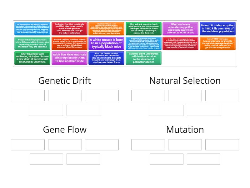 Mechanisms of Evolution - Group sort