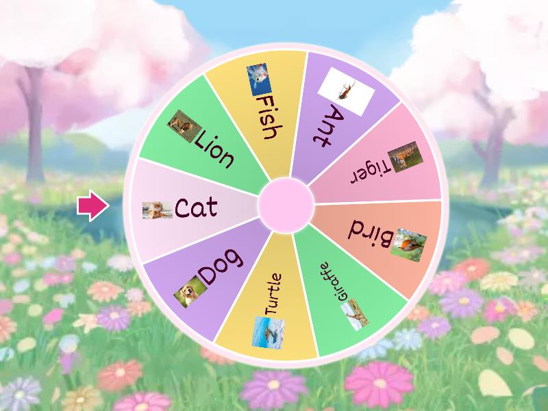 Guess the animal - Spin the wheel