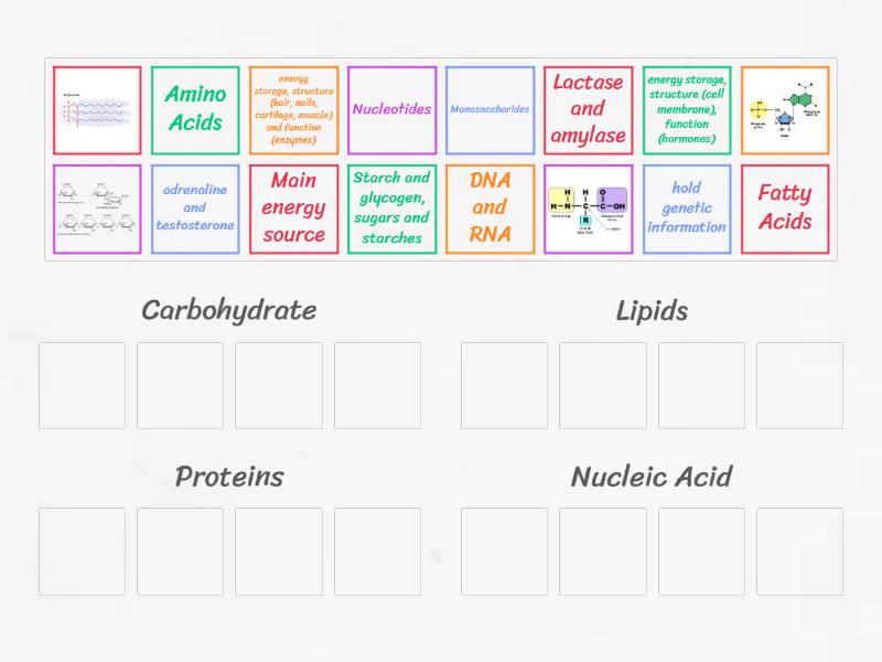 Macromolecules - Group sort