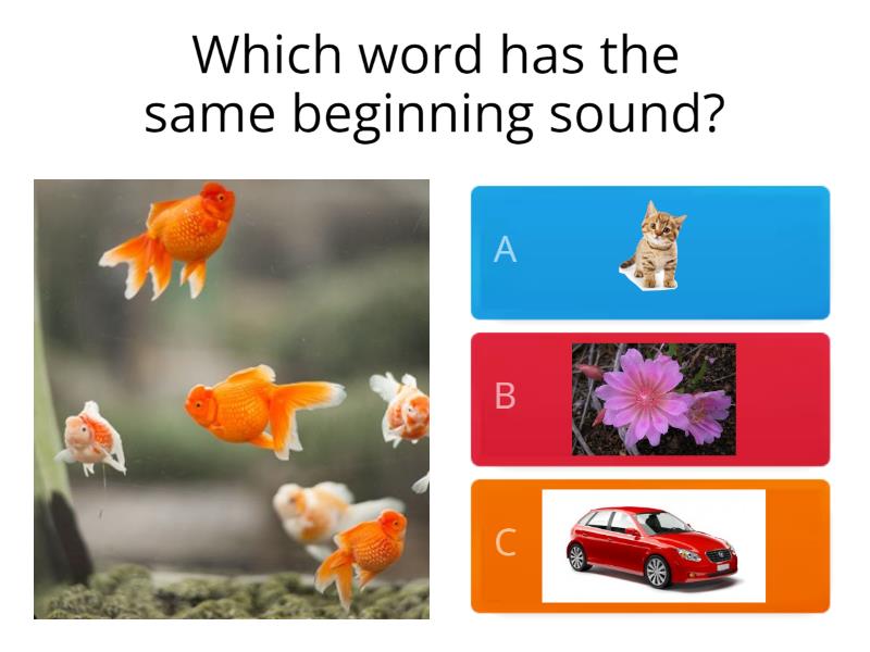BEGINNING SOUNDS SK - Quiz