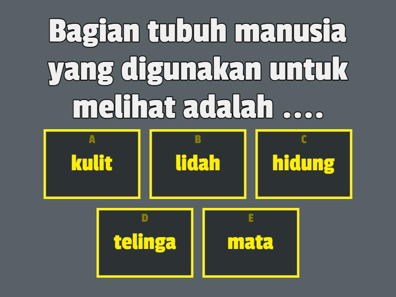 Asesmen Awal (Mulai dari Diri) - Quiz