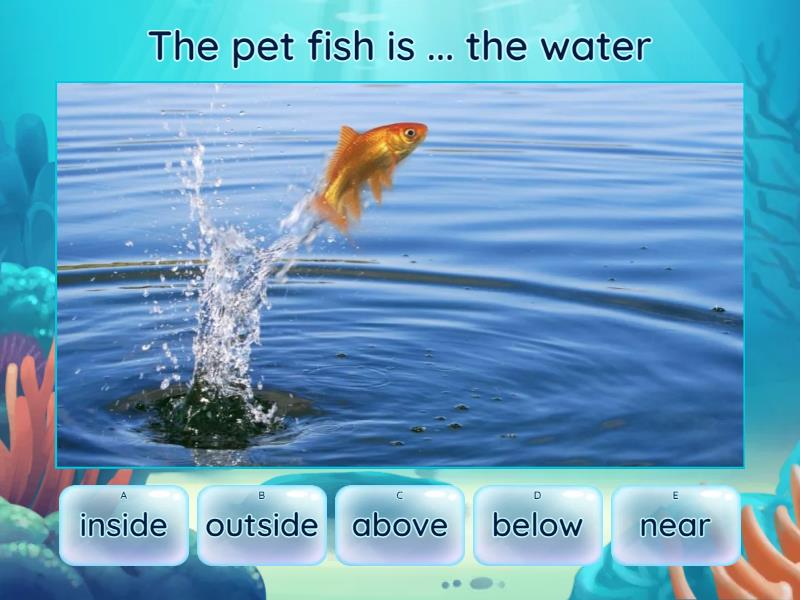 Prepositions. inside, outside, above, below, near - Quiz