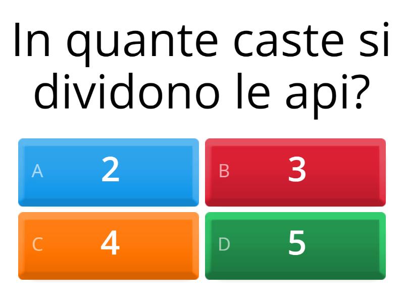SULLE CASTE DELLE API - Quiz