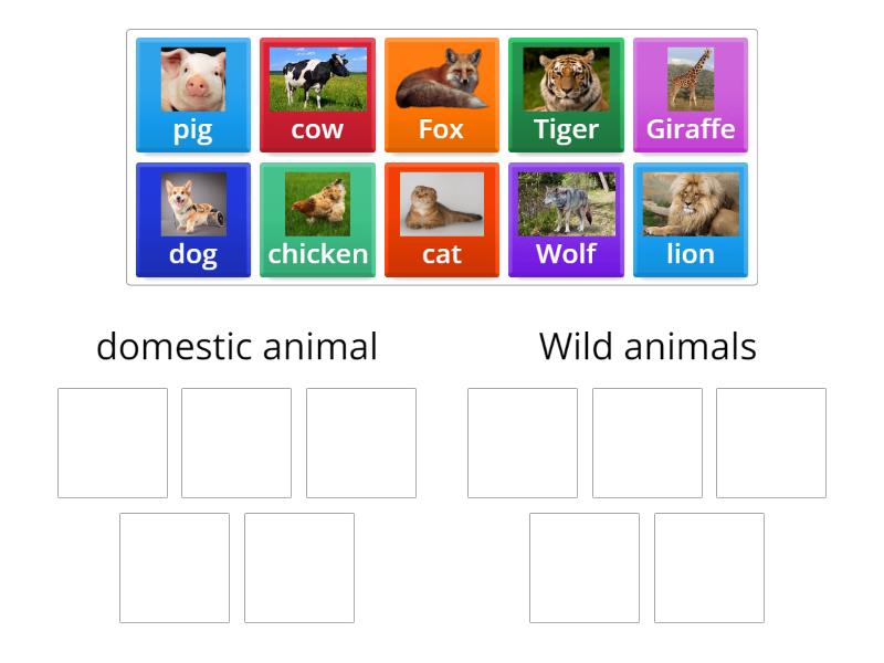 domestic animal and Wild animals - Group sort